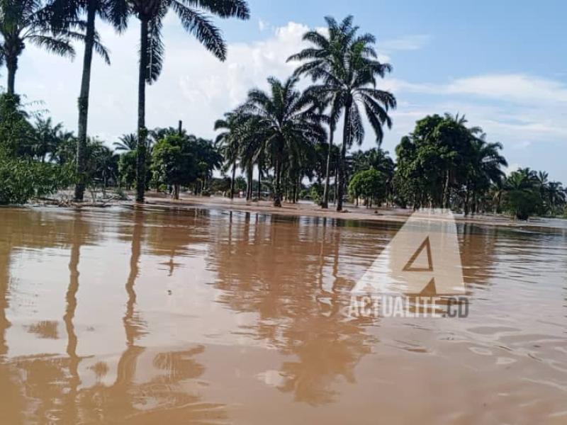 Kinshasa : le bilan des inondations s’alourdit à 70 morts et plus de 150 blessés, selon le ...